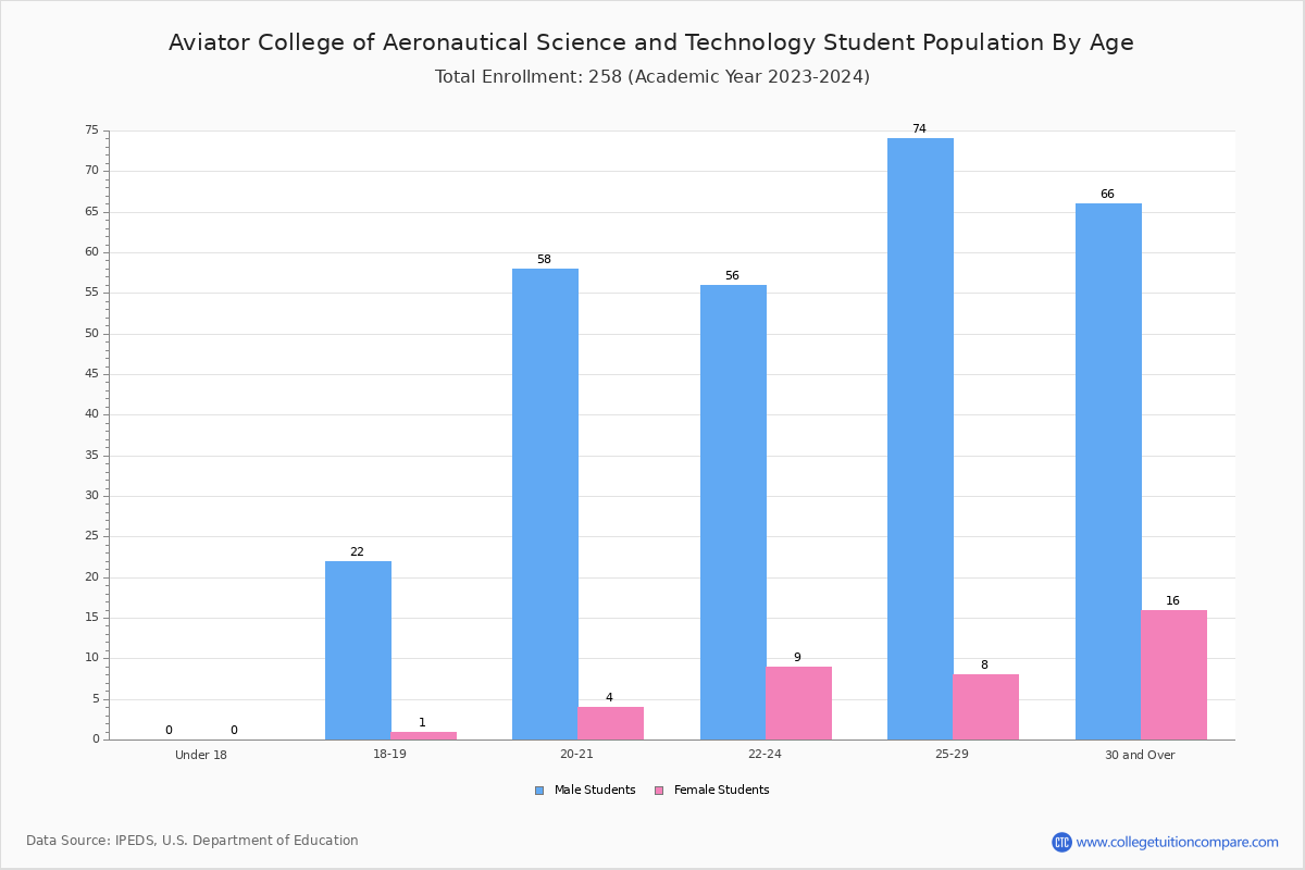 Ari Ben Aviator - Student Population and Demographics