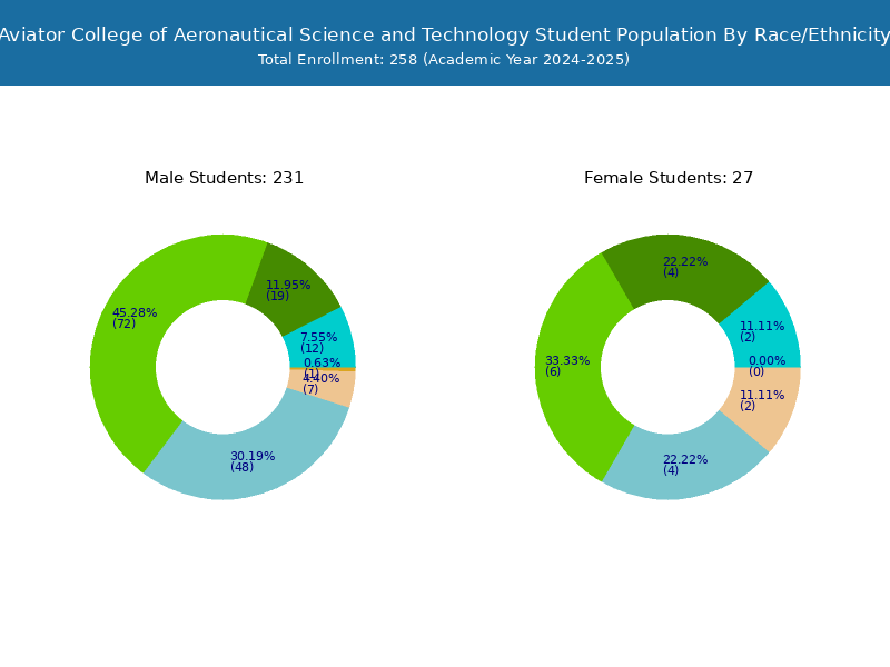 Ari Ben Aviator - Student Population and Demographics