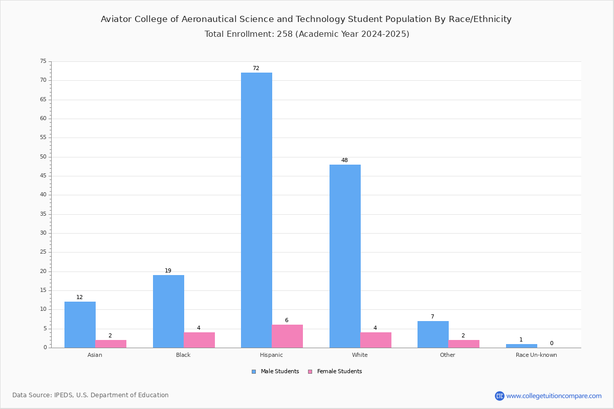 Ari Ben Aviator - Student Population and Demographics