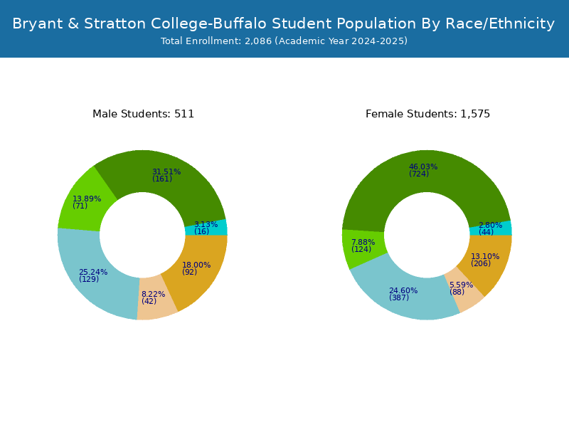 Bryant & Stratton College-Buffalo - Student Population and Demographics