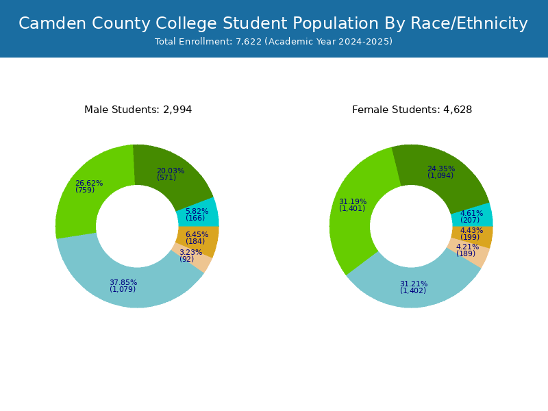 Camden County College - Student Population and Demographics