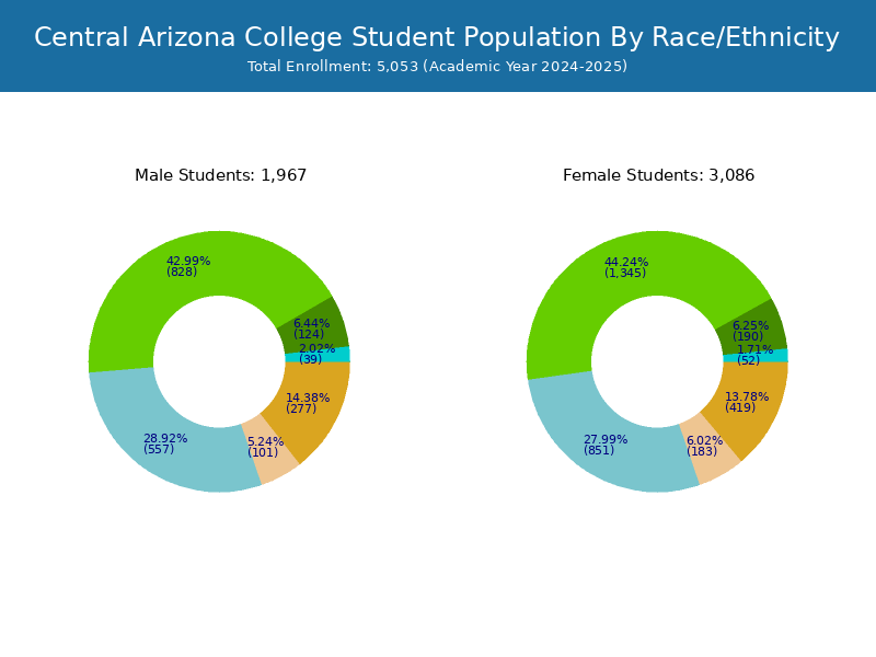 Central Arizona College - Student Population and Demographics