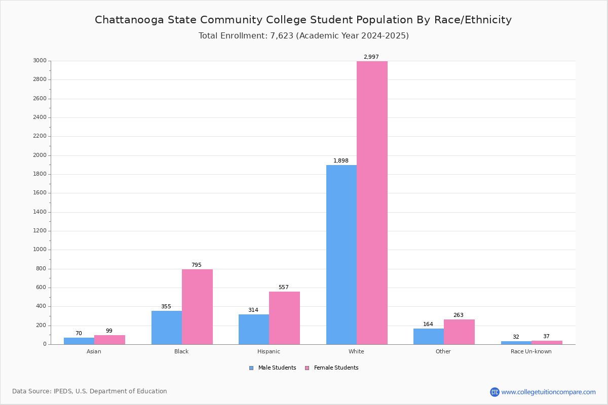 Chattanooga State CC - Student Population and Demographics