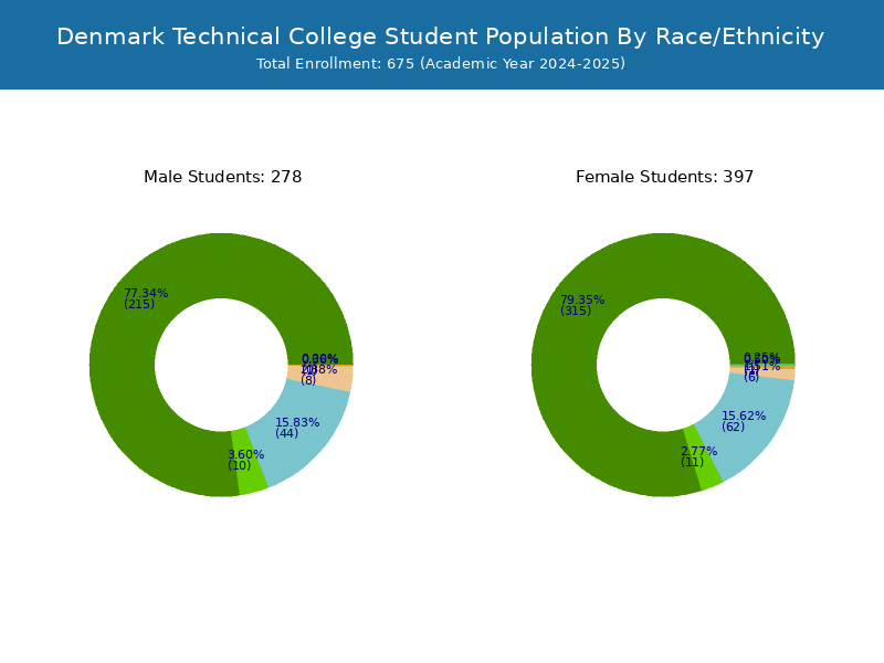 Denmark Technical College - Student Population and Demographics