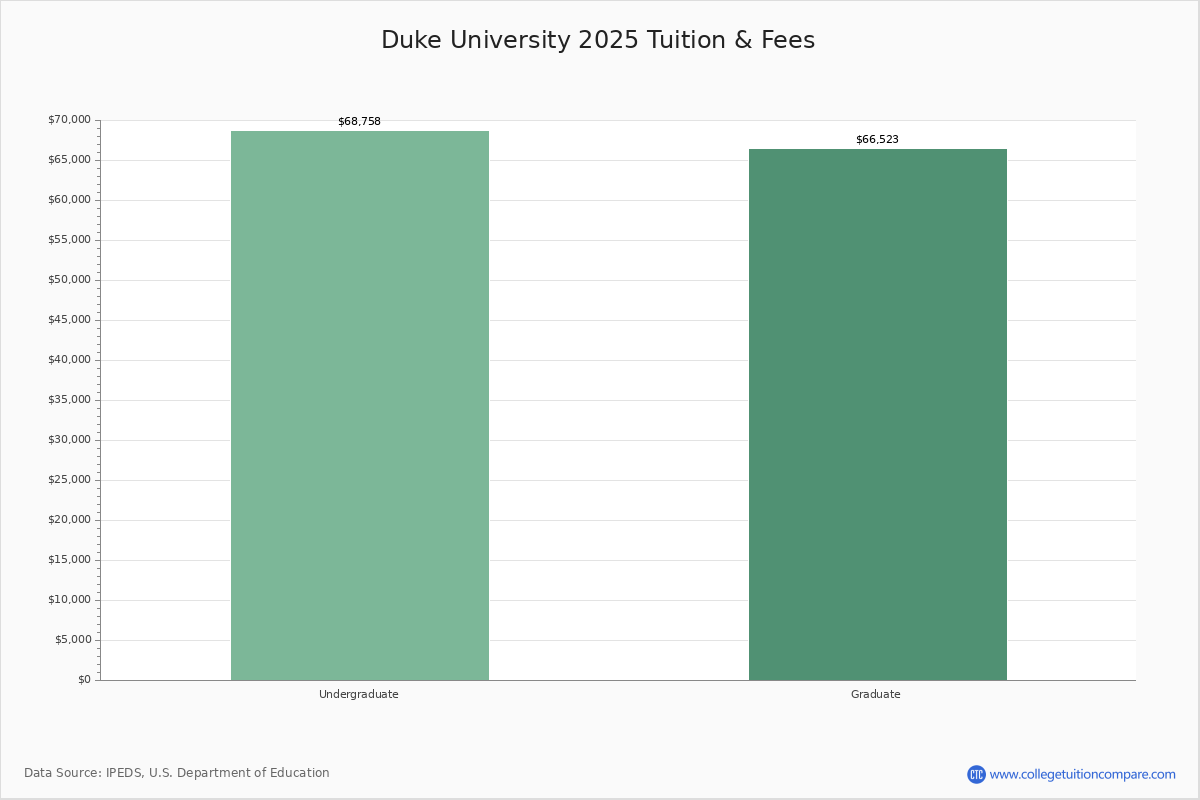 Duke University Academic Overview