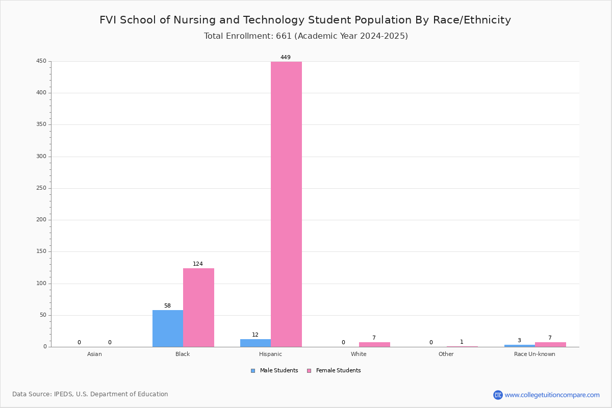 FVI School of Nursing and Technology - Student Population and Demographics