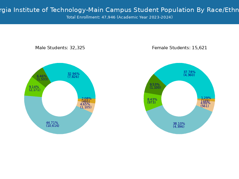 Georgia Tech - Student Population and Demographics