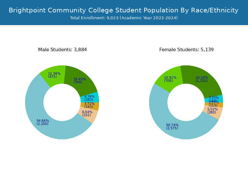 Brightpoint CC - Student Population and Demographics