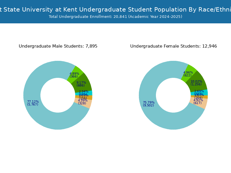 Kent State University at Kent - Student Population and Demographics