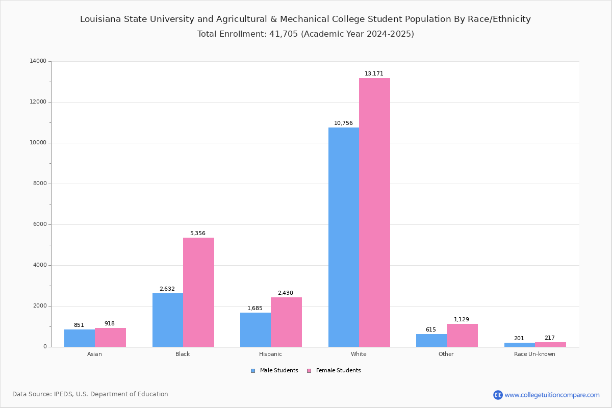 Lsu Student Population And Demographics