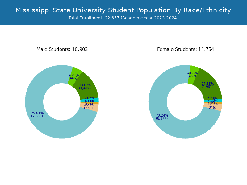 Mississippi State - Student Population and Demographics