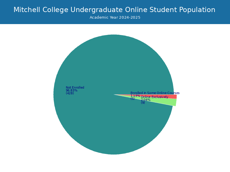 Mitchell College - Student Population and Demographics