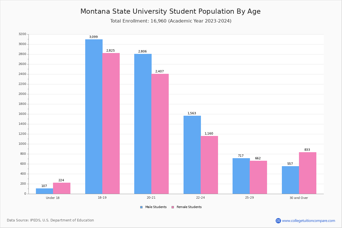 Montana State University - Student Population and Demographics