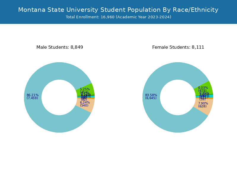 Montana State University - Student Population and Demographics