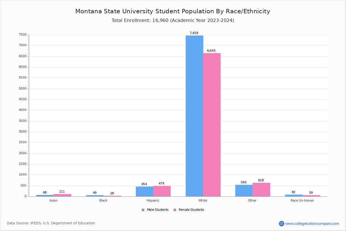Montana State University - Student Population and Demographics