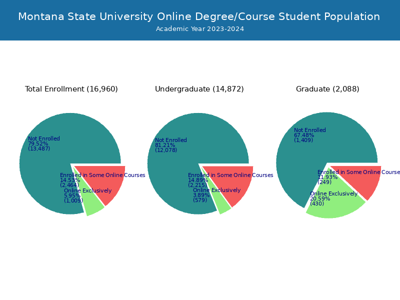 Montana State University - Student Population and Demographics