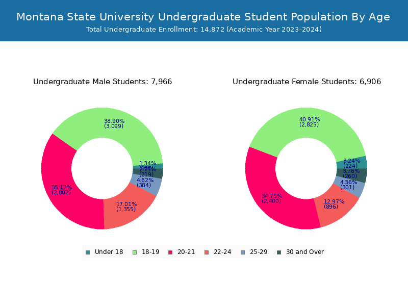 Montana State University - Student Population and Demographics