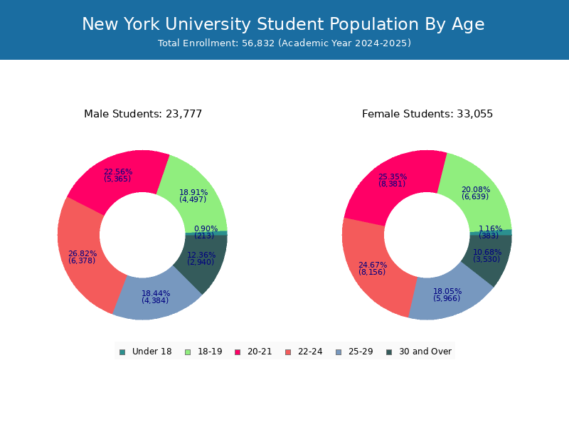 New York University - Student Population and Demographics