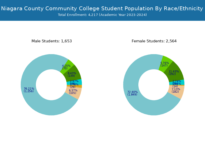 Niagara County Community College - Student Population and Demographics