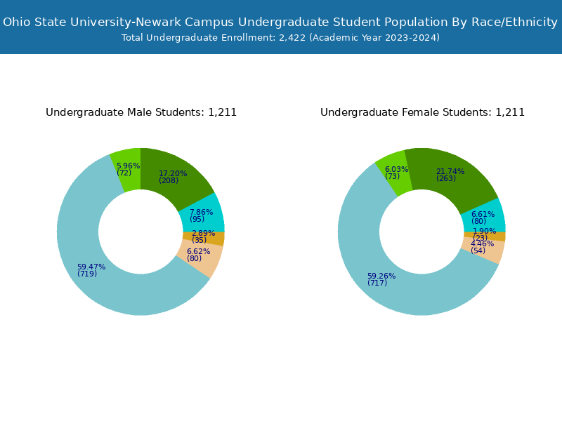 Ohio State University-Newark Campus - Student Population and Demographics