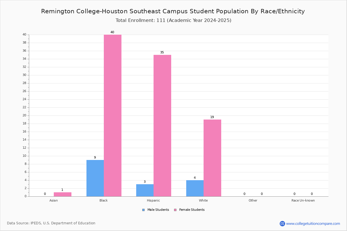 Remington College-Houston Southeast Campus - Student Population and ...