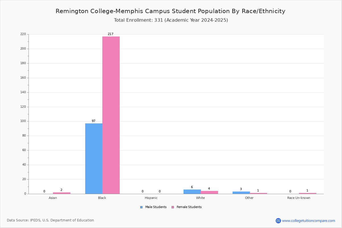 Remington College-Memphis Campus - Student Population and Demographics