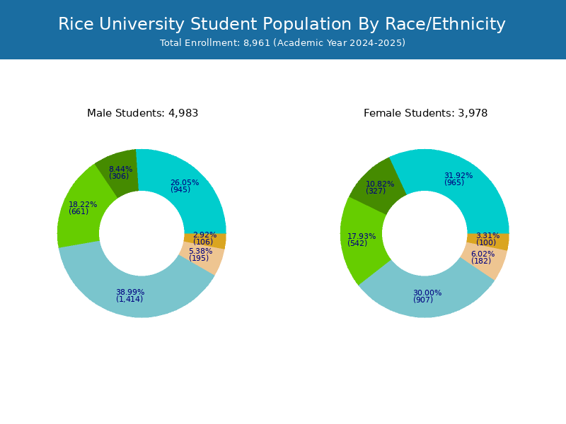 Rice University - Student Population and Demographics
