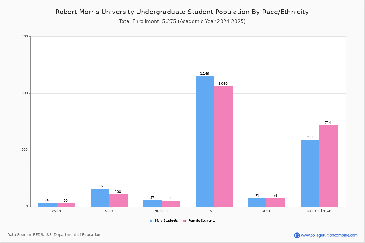 Robert Morris University - Student Population and Demographics