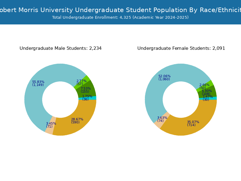 Robert Morris University - Student Population and Demographics