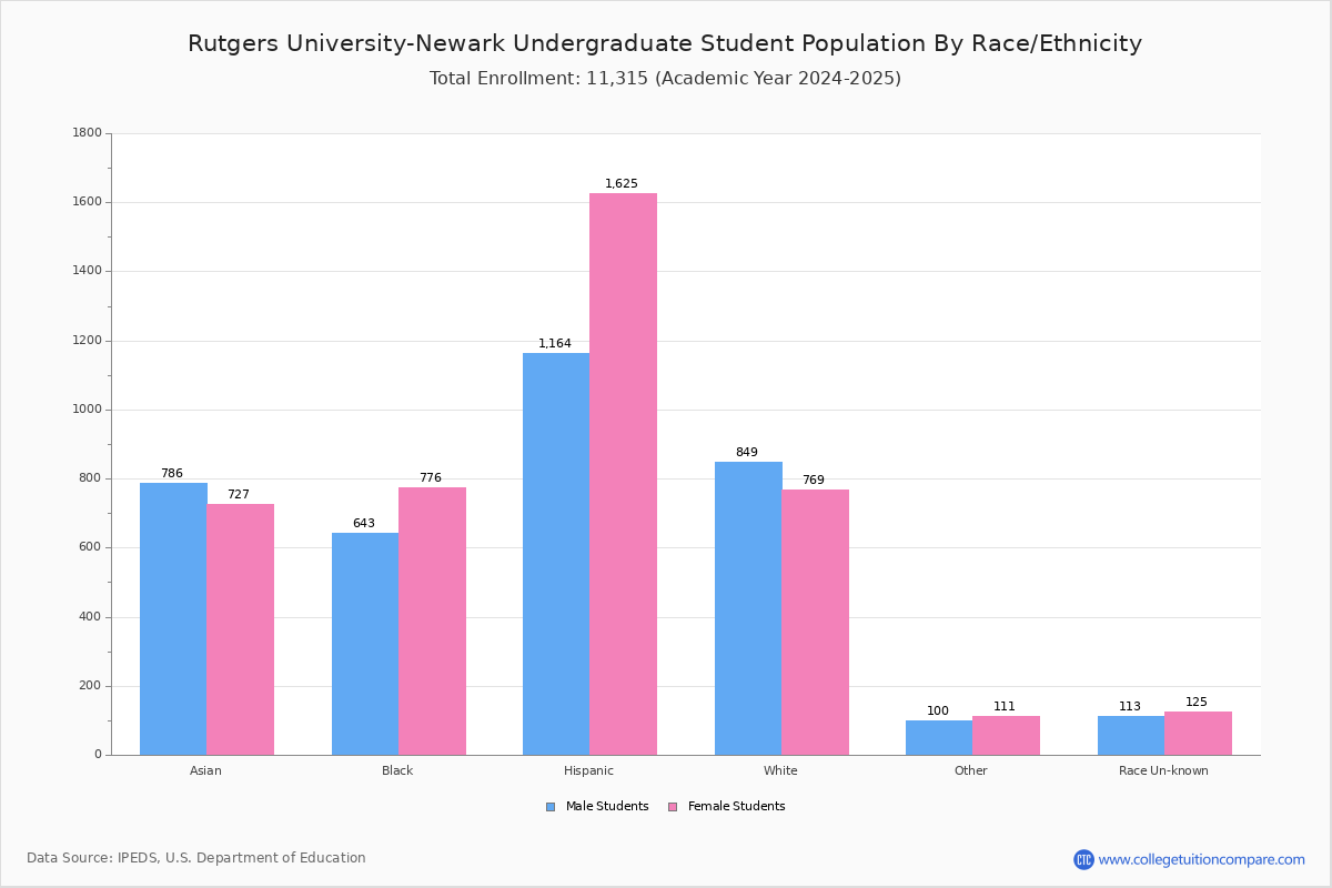 Rutgers University-Newark - Student Population and Demographics