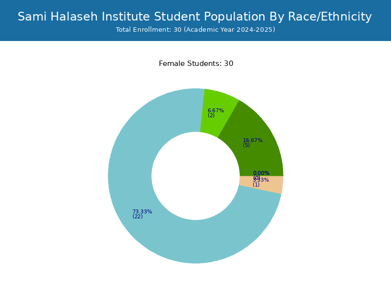 Sami Halaseh Institute - Student Population and Demographics