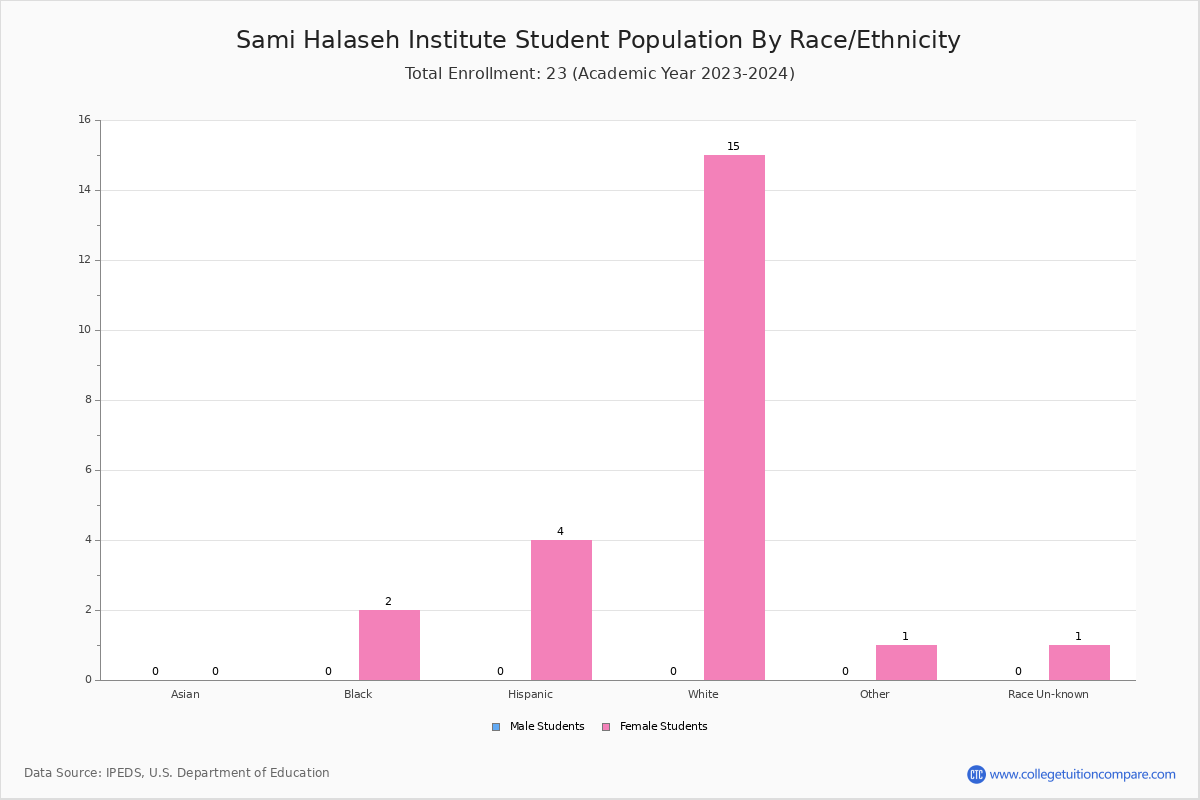 Sami Halaseh Institute - Student Population and Demographics