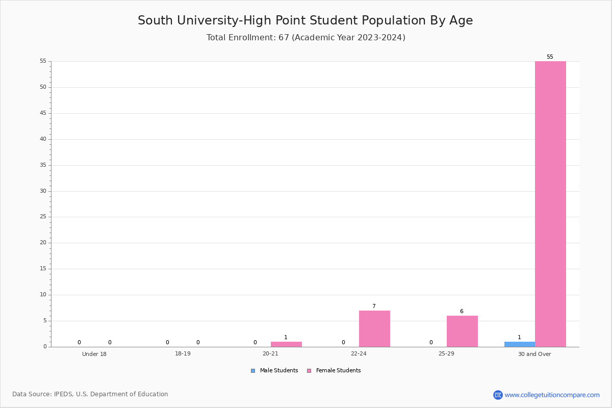 South University-High Point - Student Population and Demographics