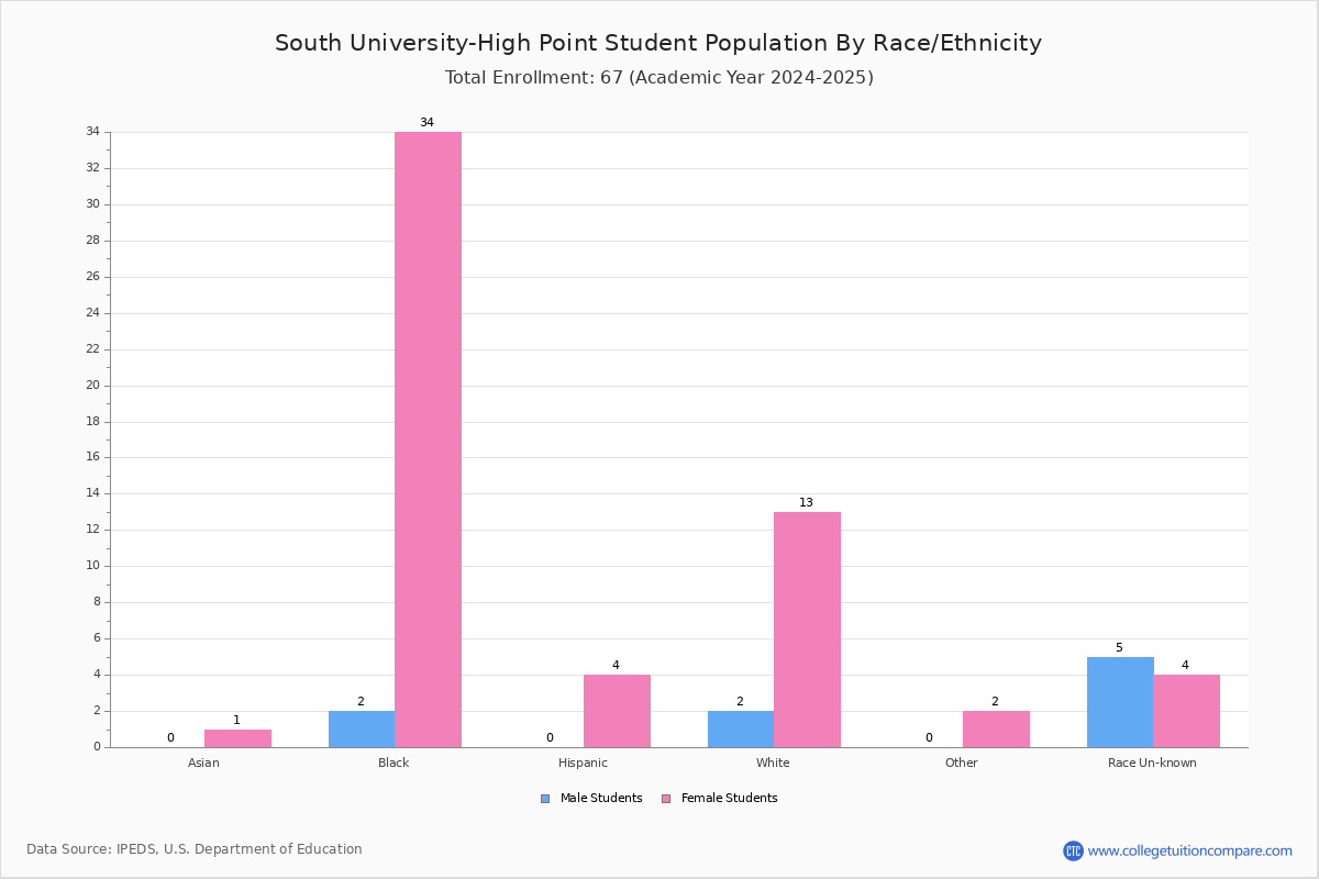 South University-High Point - Student Population and Demographics