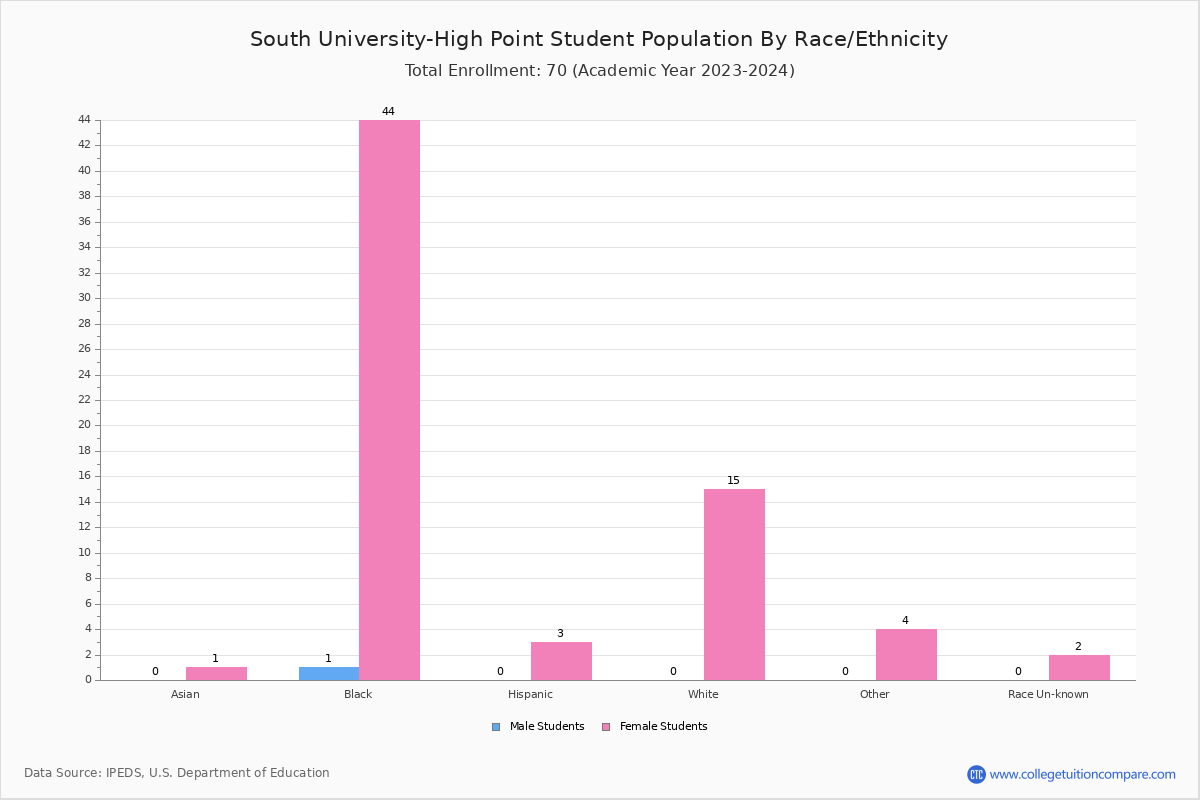 South University-High Point - Student Population and Demographics