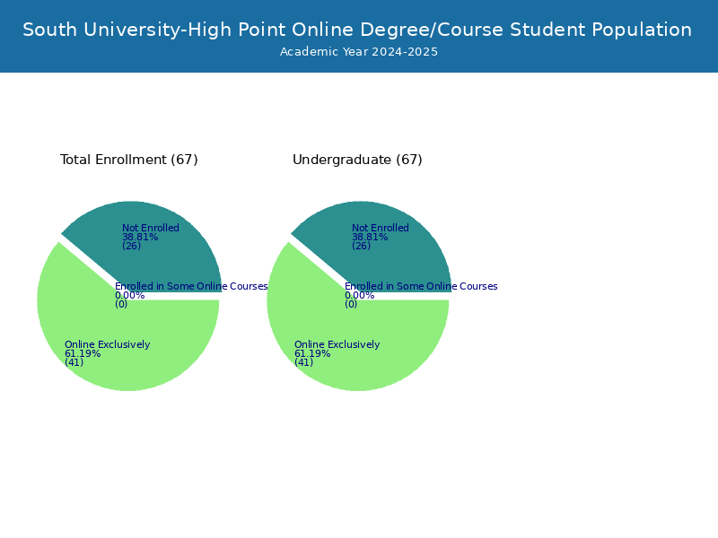 South University-High Point - Student Population and Demographics