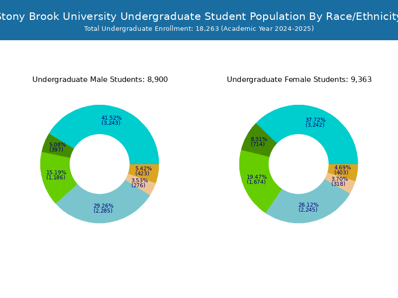Stony Brook University - Student Population and Demographics