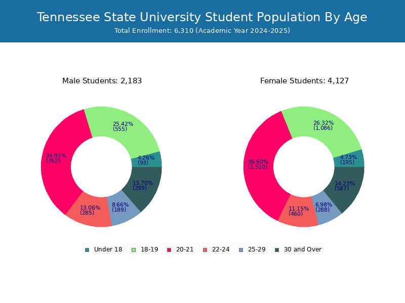 Tennessee State - Student Population and Demographics