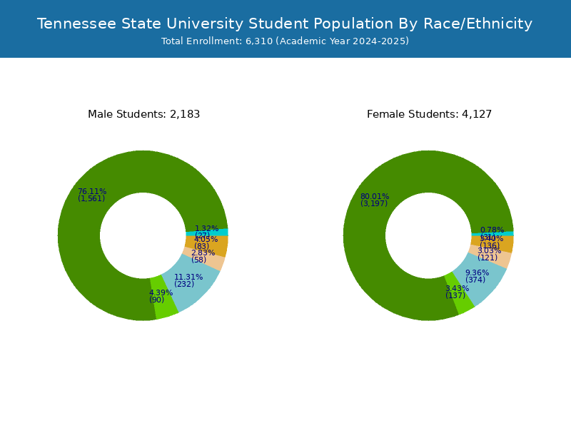 Tennessee State - Student Population and Demographics