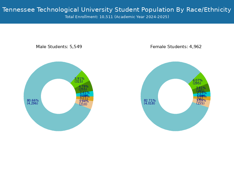 TTU - Student Population and Demographics