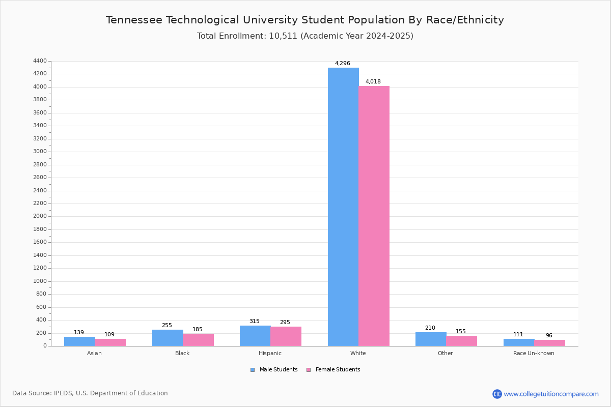 TTU - Student Population and Demographics