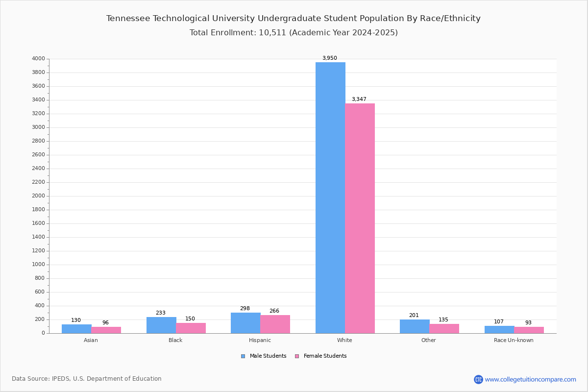 TTU - Student Population and Demographics