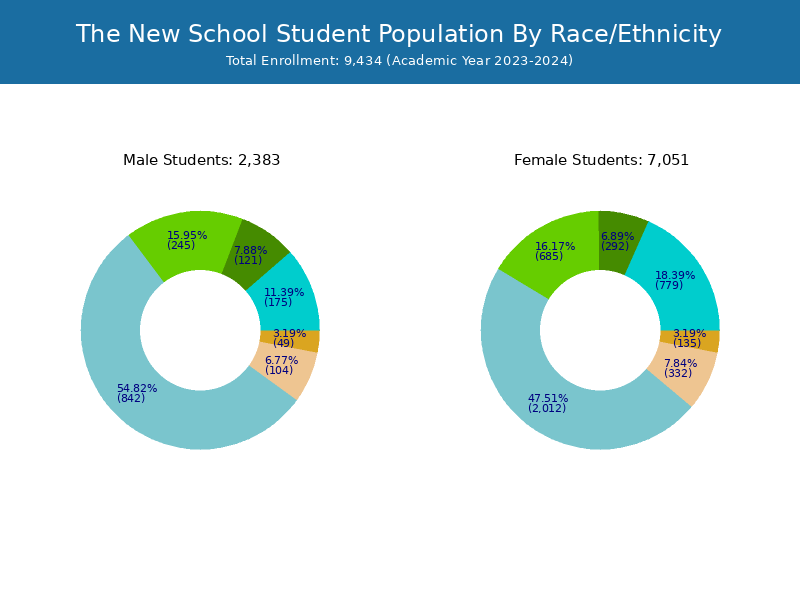 The New School - Student Population and Demographics