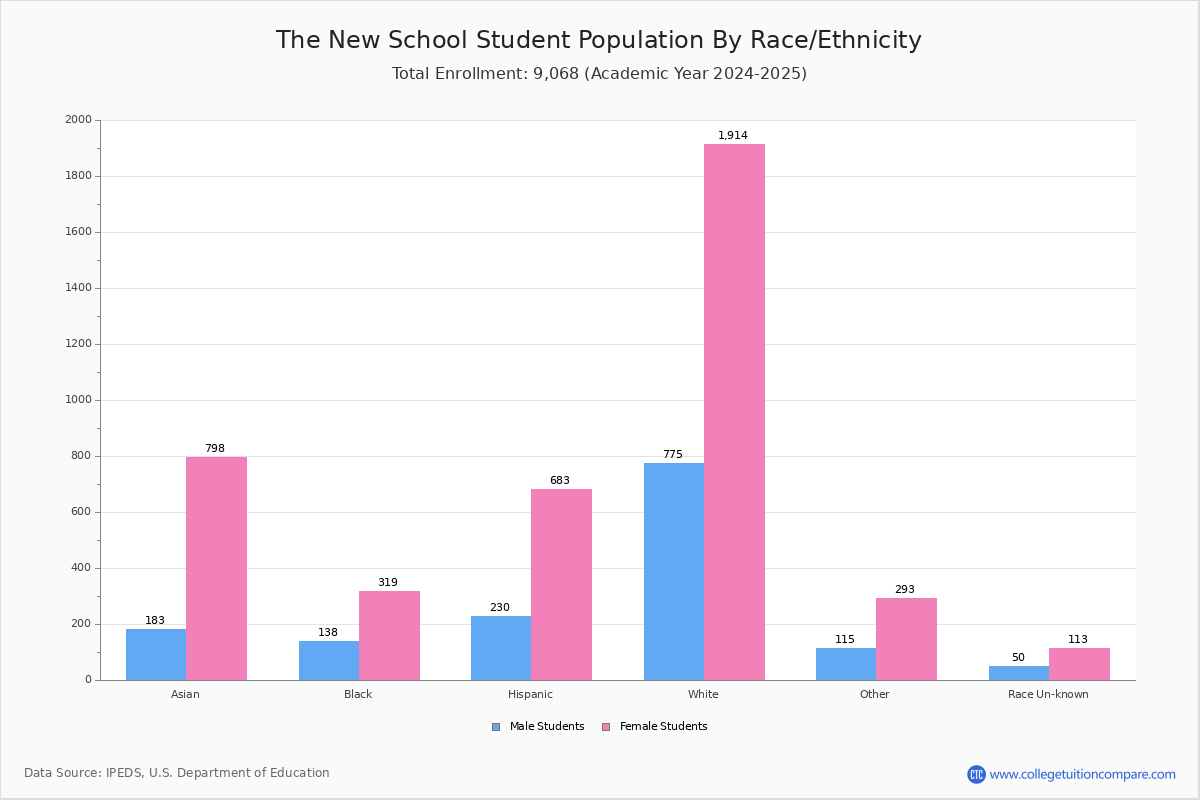 The New School - Student Population and Demographics