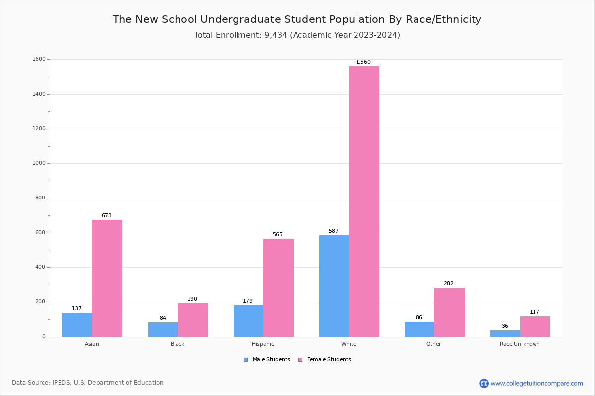 The New School - Student Population and Demographics