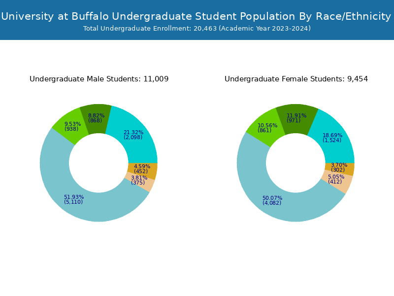University at Buffalo - Student Population and Demographics