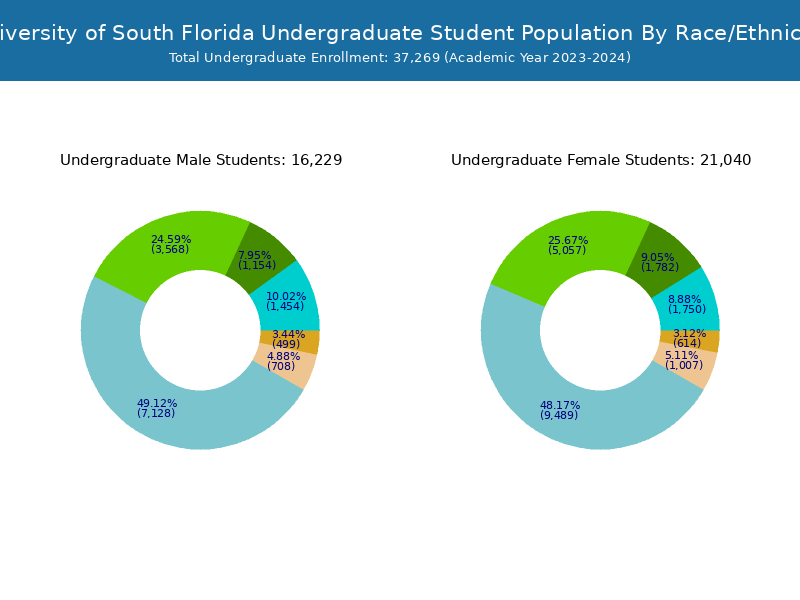 USF - Student Population and Demographics