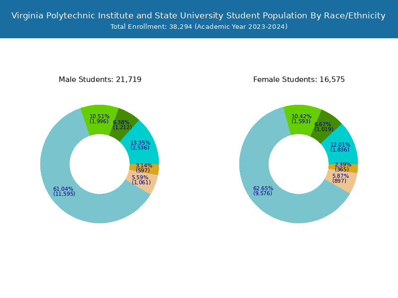 Virginia Tech - Student Population and Demographics