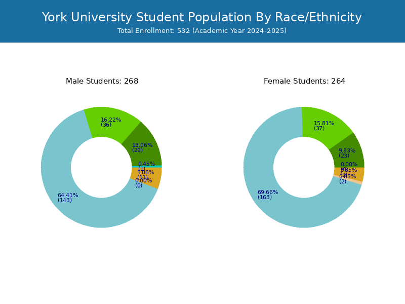 York University - Student Population and Demographics
