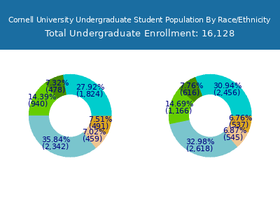 Cornell University - Student Population and Demographics